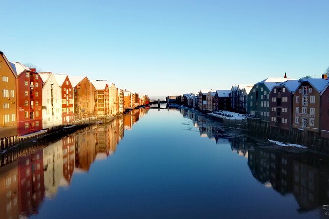 Trondheim: Discover the city of kings with a local guide - What Makes This Tour Stand Out?