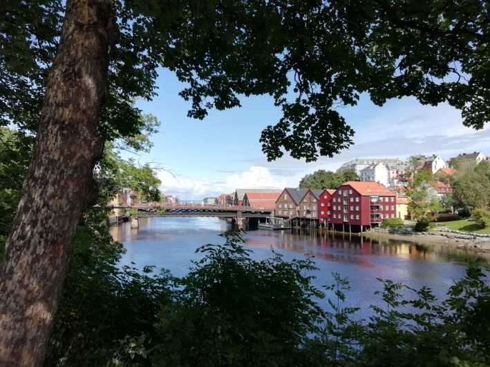Trondheim : Explore the city of kings with a local guide - Practical Aspects of the Tour