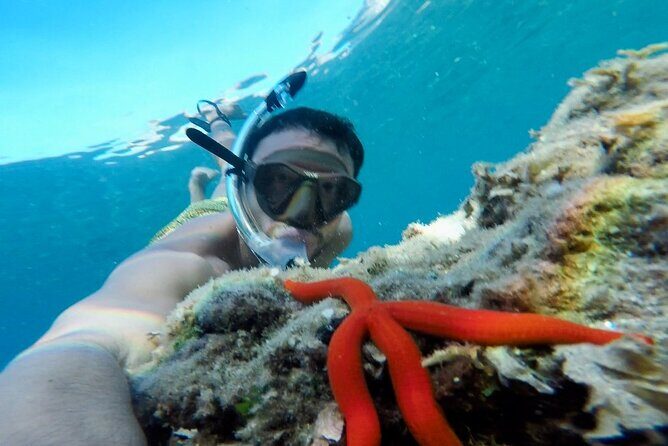 Tropea at sunset private boat tour - Who Will Love This Tour?