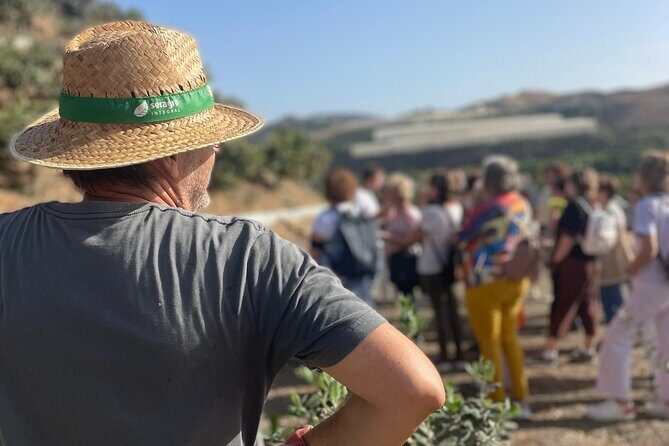 Tropical Tour: Avocado & Mango Farm - Small group and tasting - Analyzing the Cost and Value