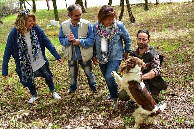 Truffle Hunt & Bio Lunch in Assisi - The Experience: A Deep Dive into the Truffle Hunt & Bio Lunch