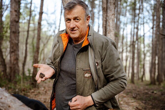 Truffle Hunting and 3-course Truffle Brunch in Motovun - A Deep Dive into the Truffle Hunt and Brunch in Motovun