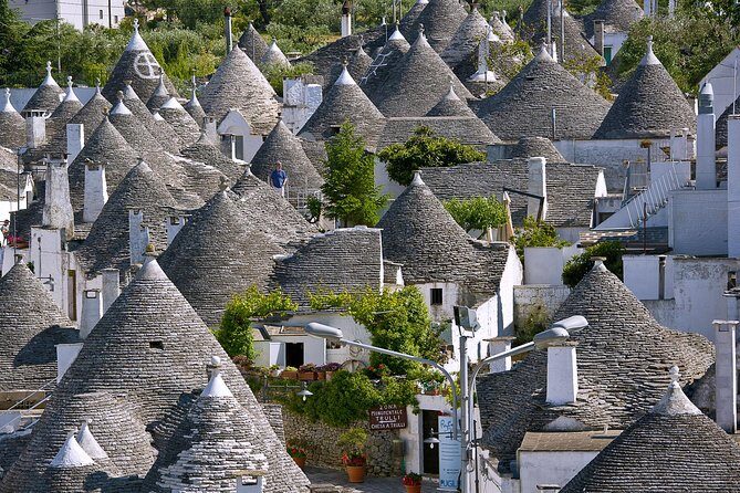 Trulli of Alberobello Day-Trip from Monopoli and Polignano - Analyzing the Value: Is it Worth It?