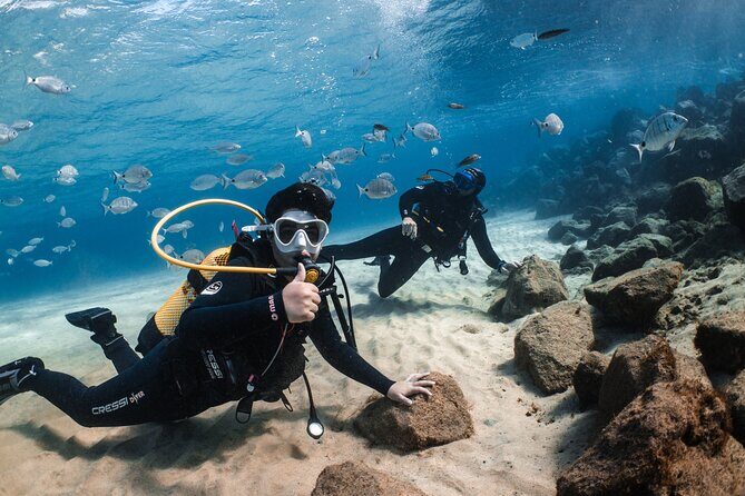 Try Scuba Diving | 1 dive - Meeting Point and Transportation