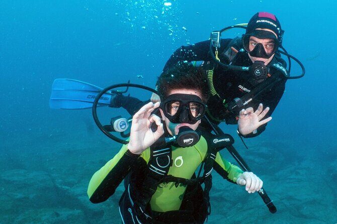 Try Scuba Diving in a turtle area (boat) - Who Should Book This Tour?