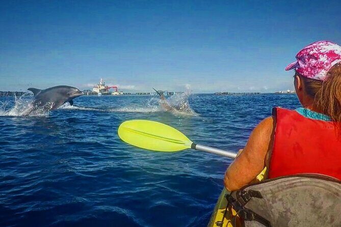 Turtle and Dolphin Watching Kayaking and Snorkeling Tour - Visiting the Palm Mar Cave: A Tranquil Highlight