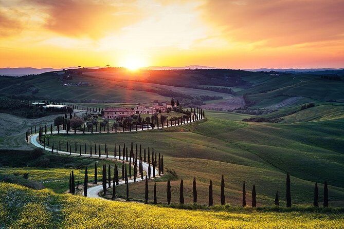 Tuscany Countryside including Wine Tasting & Lunch - Private Day Trip from Rome - What Makes This Tour Stand Out