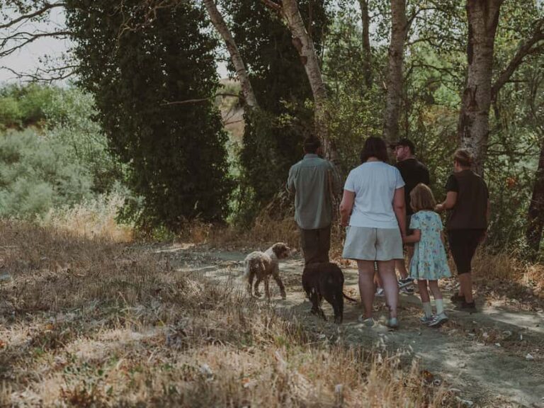 Tuscany: Volterra Truffle Hunting Experience - The Value of the Experience