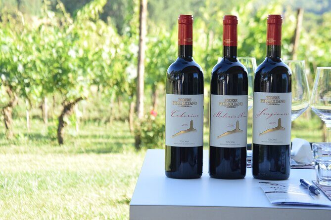 Tuscany Wine Tours in a family winery Podere Pellicciano - The Value of the Experience