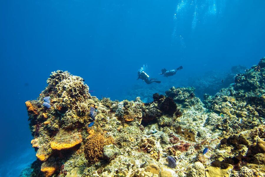 Two scuba divers exploring coral reefs in clear ocean