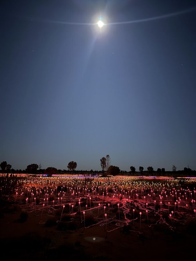 Field of Light Uluru blue glow stems at night