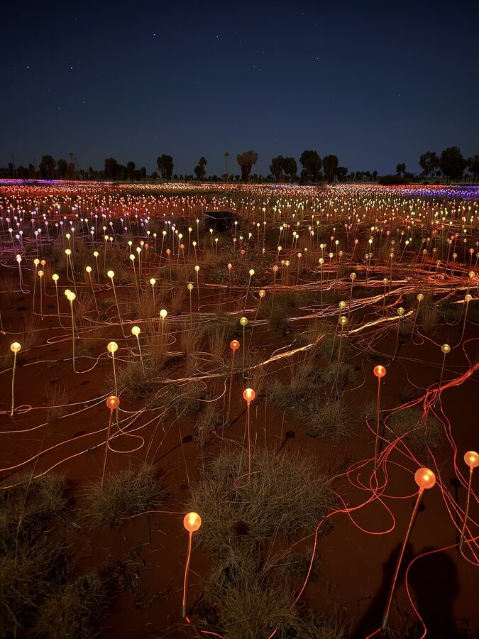 Field of Light Uluru pathway through glowing stems at night