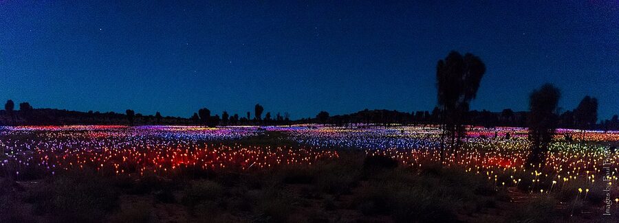 Wide view of the Field of Light installation at Uluru