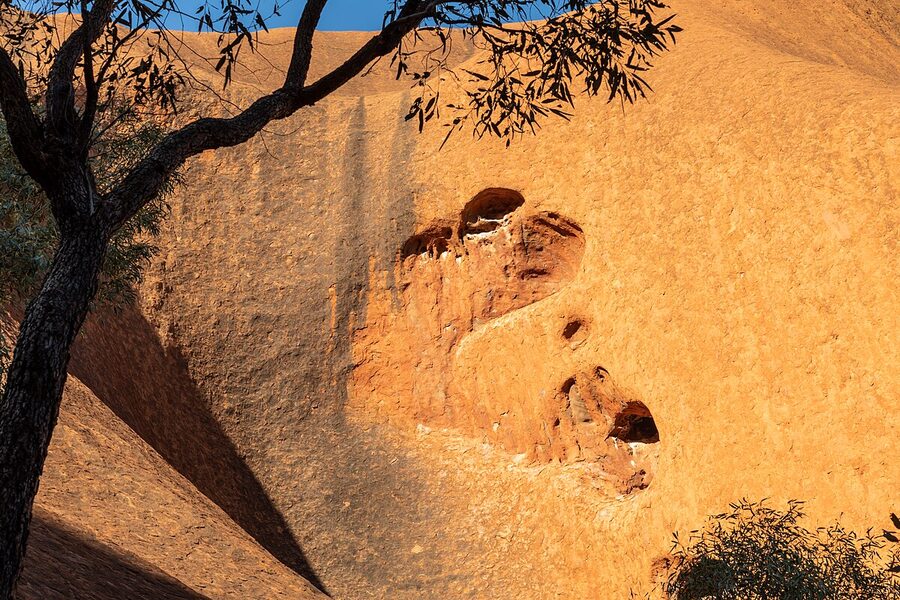 Kuniya Walk along the base of Uluru
