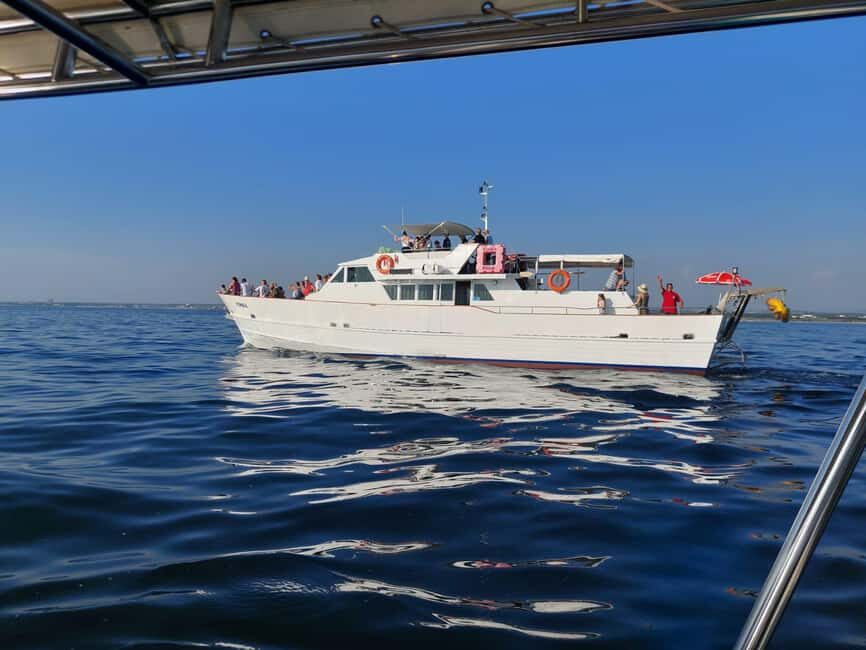 UMAG: Swimming&Panorama / Welcome Drink and Dolphin spotting - The Practical Details: Price, Duration, and What’s Included