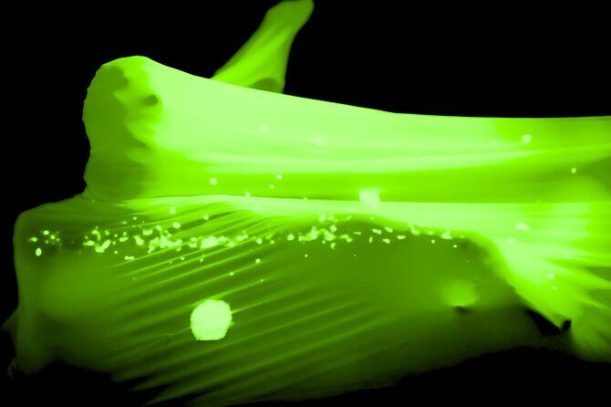 Underground Black Light Theatre Interactive Show in Prague - The Itinerary Breakdown