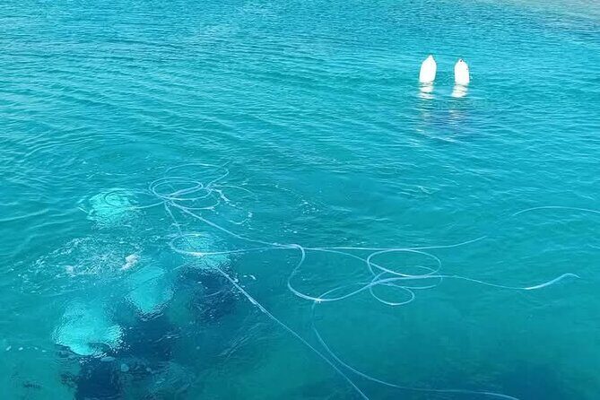 Undersea Helmets - Is It Worth the Price?