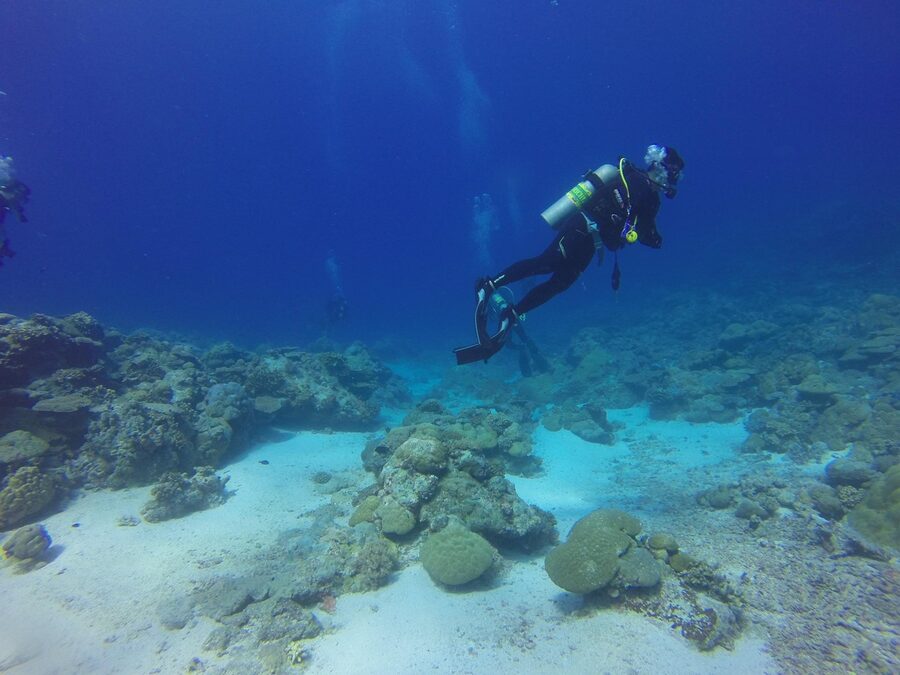 Underwater coral reef with tropical fish