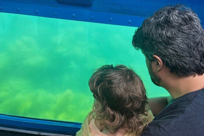 Underwater viewing tours along the coast of Sesimbra - The Experience: What to Expect