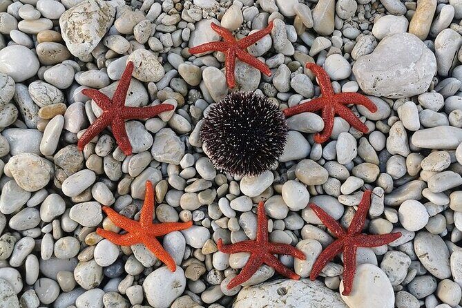 Unforgettable kayaking adventure in Pula! - Value for Money: More Than Just a Kayaking Trip