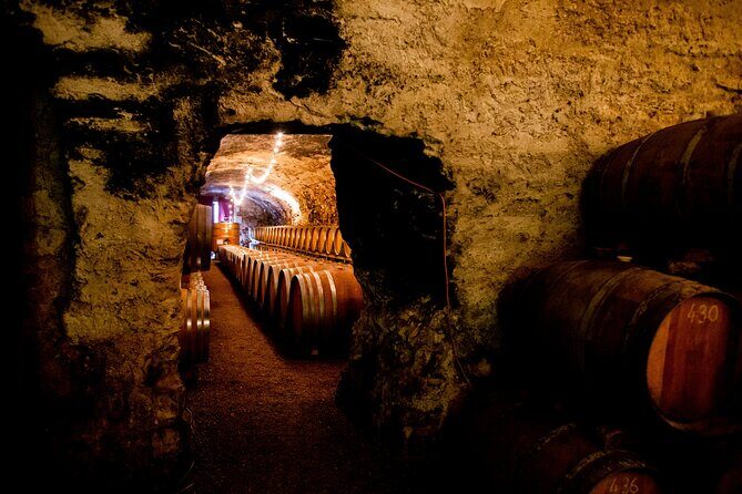 Unusual visit & Tasting of our organic wines - Final Thoughts