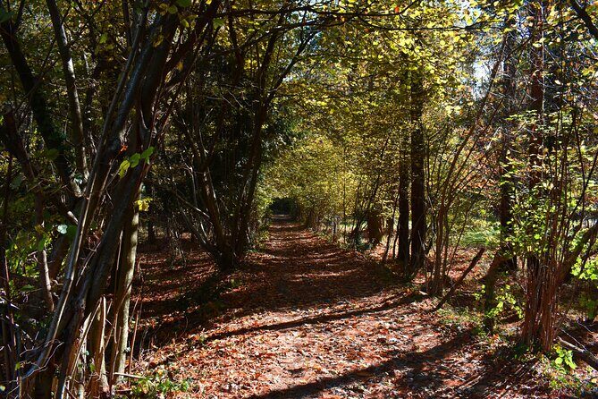 Val Senagra - The Enchanted Valley - Is This Tour Worth the Price?