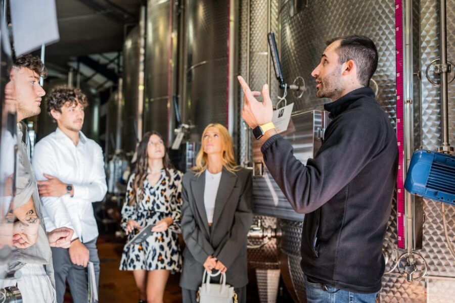 Valdobbiadene: Prosecco Tasting Experience - The Vineyard and Scenic Views