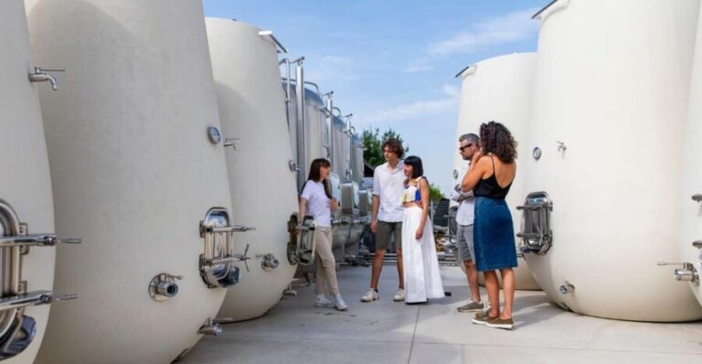 Valdobbiadene:Prosecco tasting,appetizers,winery & vineyard - FAQs