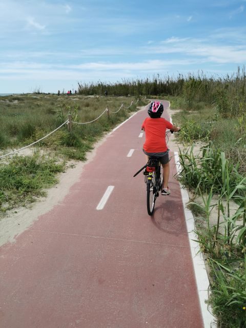 Valencia: Albufera Natural Park Bike and Boat Tour - What Makes This Tour Stand Out?