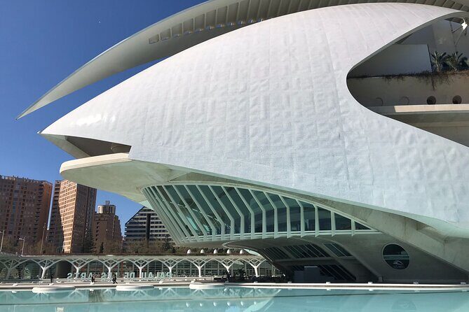 Valencia Bike Tour: Top Sights and City of Arts & Sciences - Authentic Feedback from Reviewers
