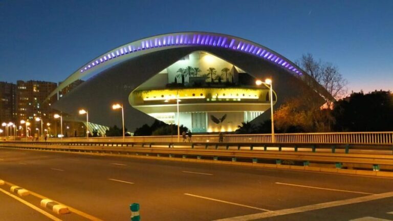 Valencia, Biketour of all the city with a local guide - What Makes This Bike Tour Special?