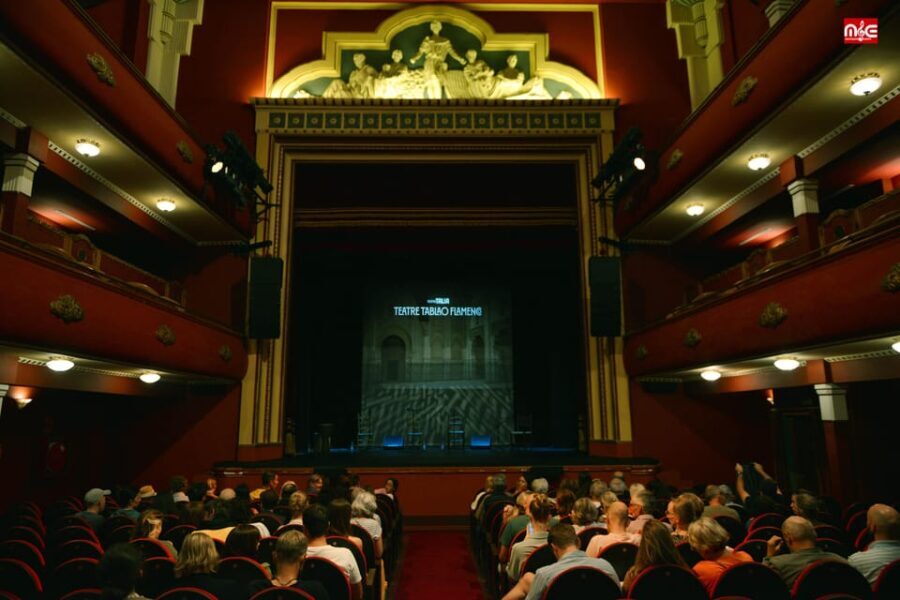 Valencia: New Flamenco Show in the Most Emblematic Theater of the City - The Experience: Atmosphere and Audience