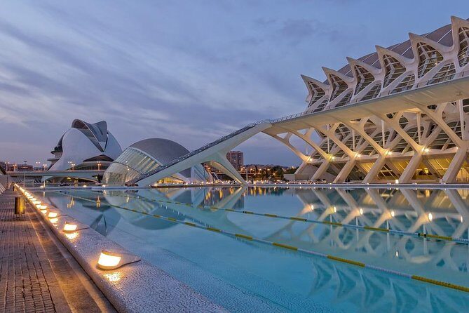 Valencia Private Tour with Hotel or Cruise Port Pick up - What to Expect From the Experience
