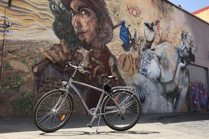 Valencia Street Art | Private Tour by Bike or Electric Ride - Authentic Experience and Guides