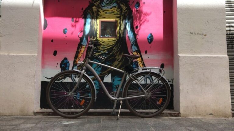 Valencia: Street Art Tour on Bicycle, E-Bike or E-Step - Who Will Love This Tour?