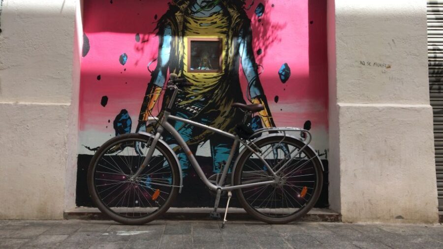 Valencia: Street Art Tour on Bicycle, E-Bike or E-Step - Who Will Love This Tour?