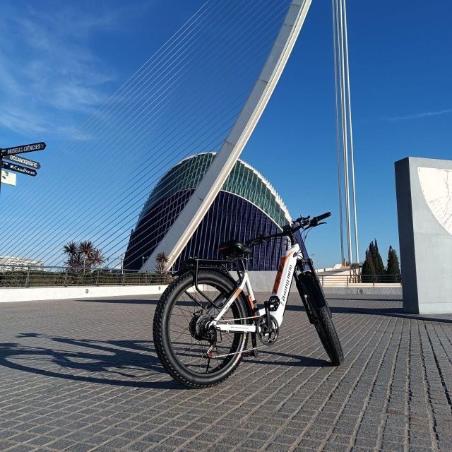 Valencia: The Albufera Lake Self-Guided E-Bike Tour - Practical Details and Tips