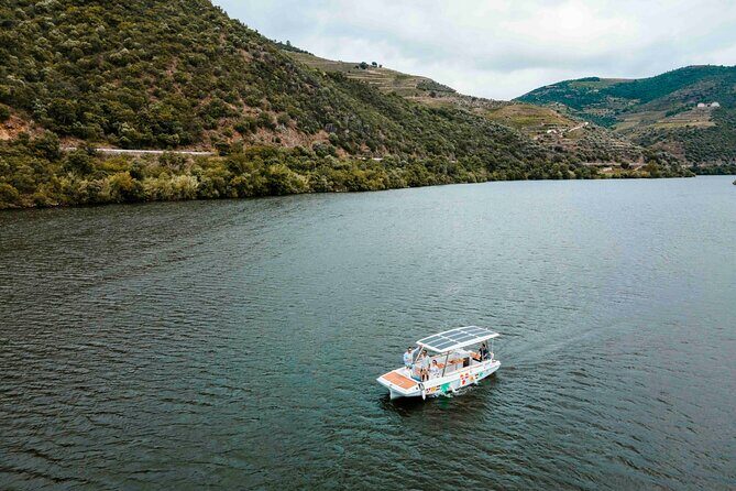 Valley of the Douro: Private Tour Electric Boat 1h With Wine Tasting - The Wine Tasting Experience