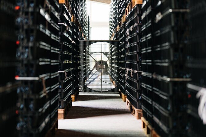 Valpolicella Lunch or Dinner Wine & Food tasting with Amarone - Analyzing the Experience: What Really Stands Out