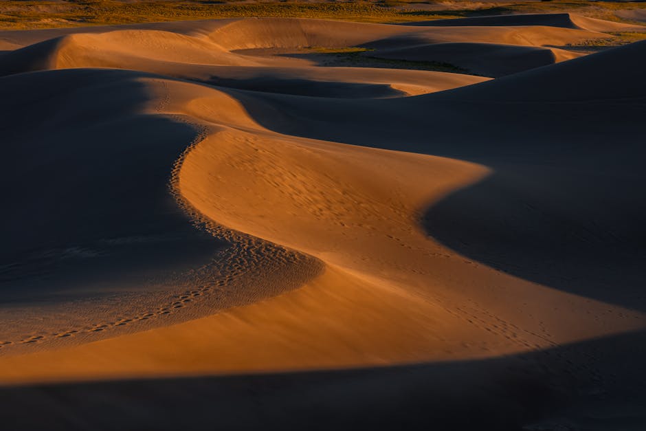 Sand dunes golden light