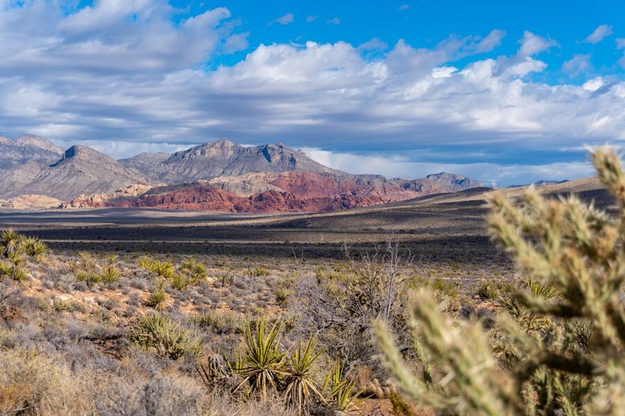 Grand Canyon panoramic view