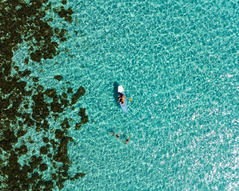 Towering dark canyon walls rising above clear blue water