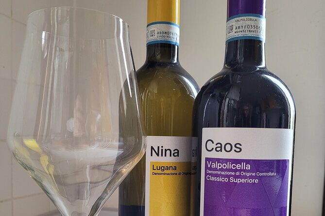 Venice like a local: Vini and Cichetti at Liuba and Hugo's home - A Taste of Venice: The Experience in Detail