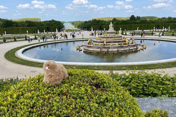Versailles Half Day Private Tour Trianons & Gardens Included - What You Can Expect From the Experience