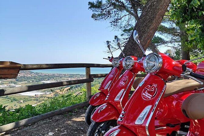 Vespa tour with written guide of Marche in Valdaso - Who Would Love This Tour?