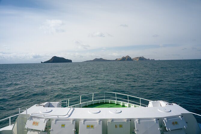 Vestmannaeyjar, Puffins & Volcanoes Small Group Day Tour - Comfortable, Convenient Transport & Small Group Charm