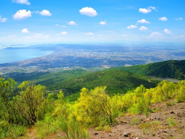 Vesuvio easy tour from Naples or Pompeii - What’s Included and What’s Not