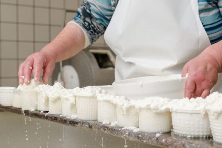 Vico Equense: Tour in the dairy "Mozzarella Experience" - Who Should Consider This Tour?