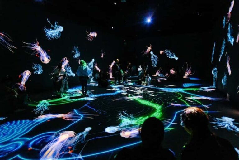 VIDENIE Immersive Art Space Entry Ticket - The Experience: What to Expect