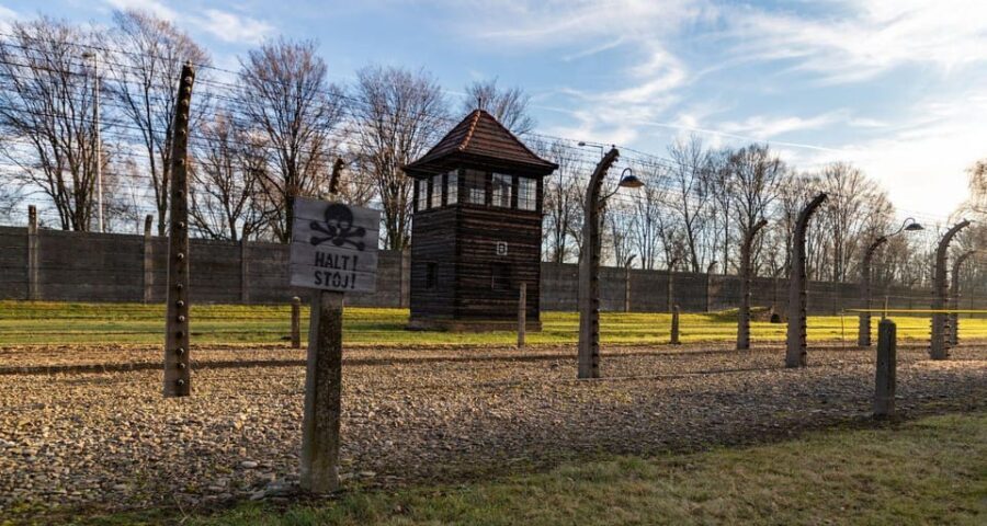 Vienna: Auschwitz Birkenau Full-Day Tour w/ Hotel Transfers - Exploring Auschwitz I and Birkenau